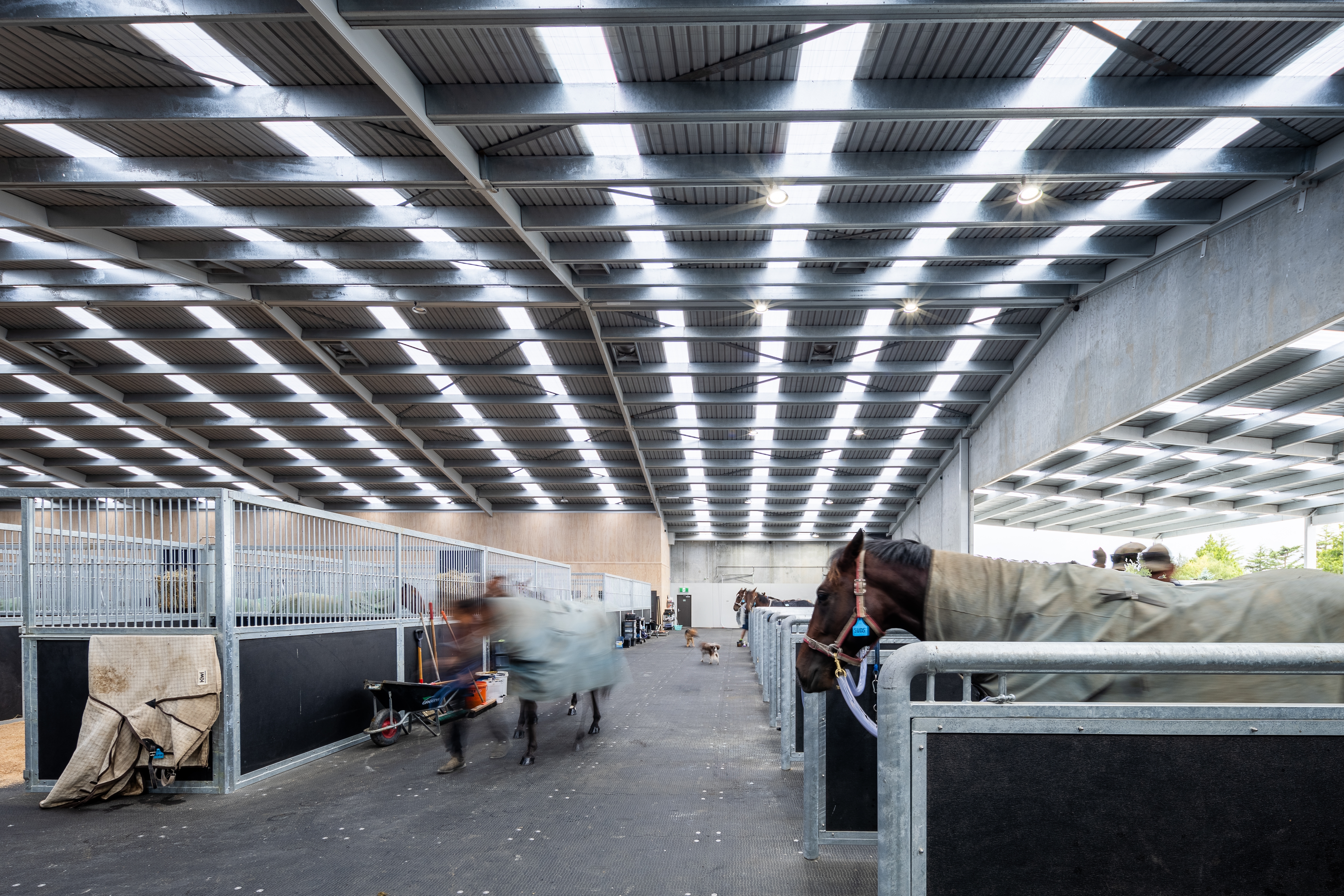 Horse Stables Construction With Steel Framing - Corcon